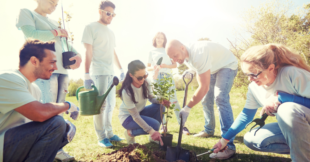 The Value of Volunteering: Why Community Service Is a… | Apex Learning