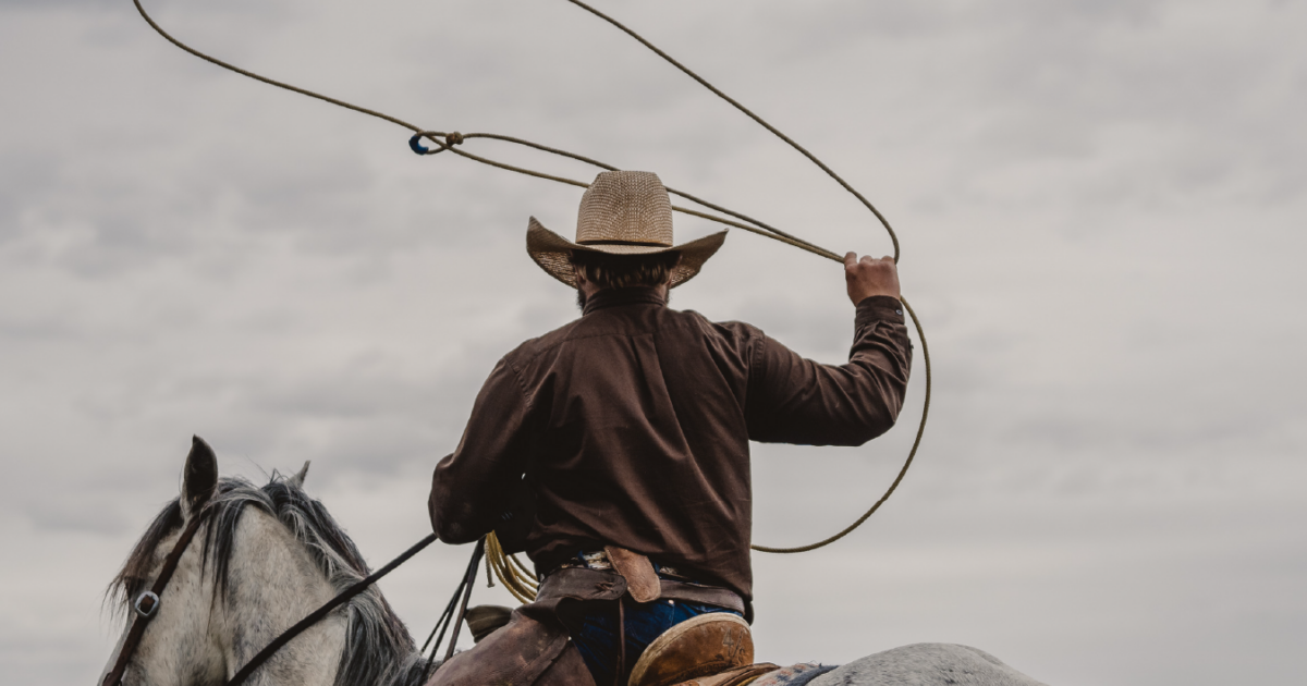 Lassoing Texas LASO Round 4 Grants: What’s New, Who’s… | Edmentum